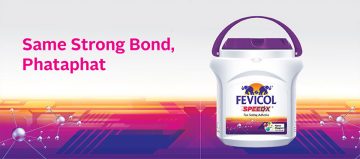 About – Fevicol